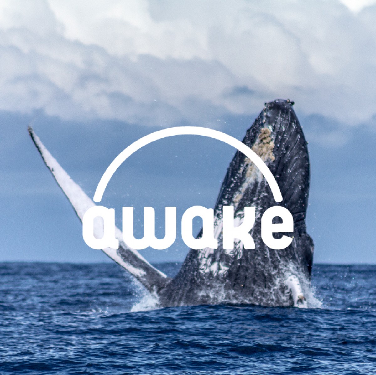 Awake Travel | Adventure Travel Trade Association