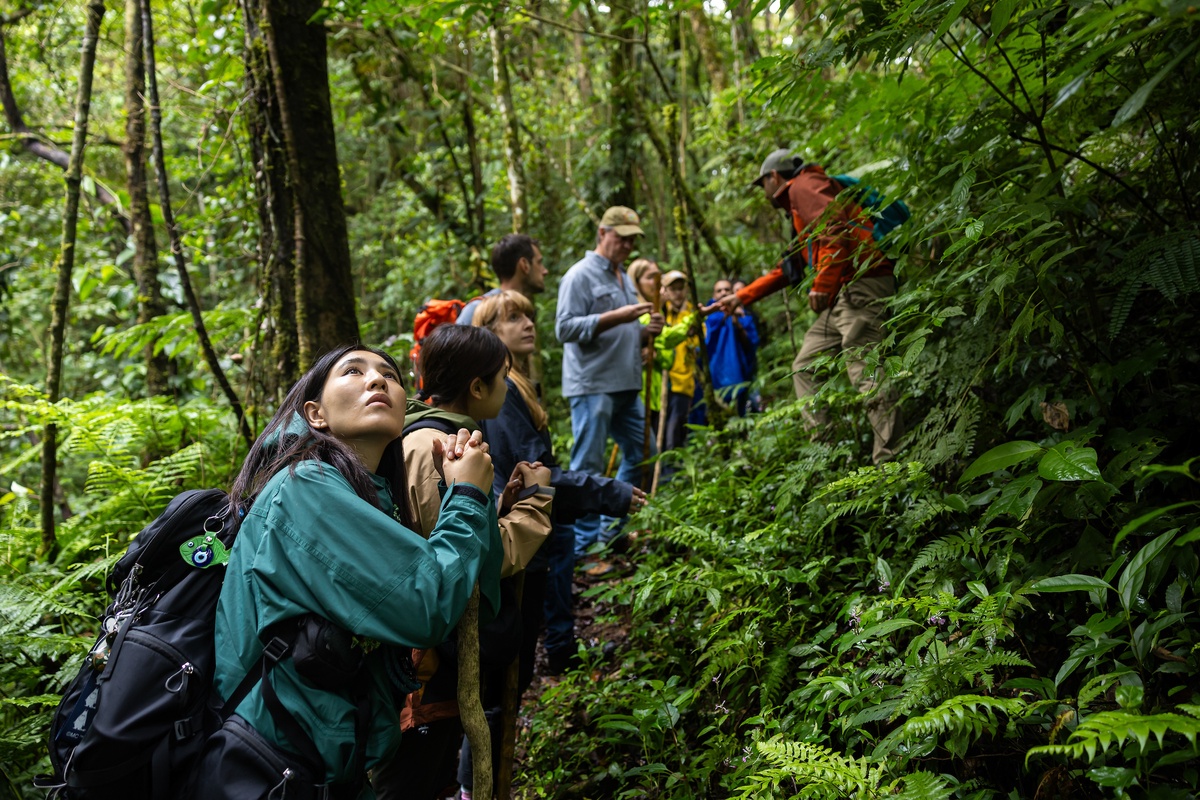 Shaping Sustainability: Insights from Global Destination Leaders at ...