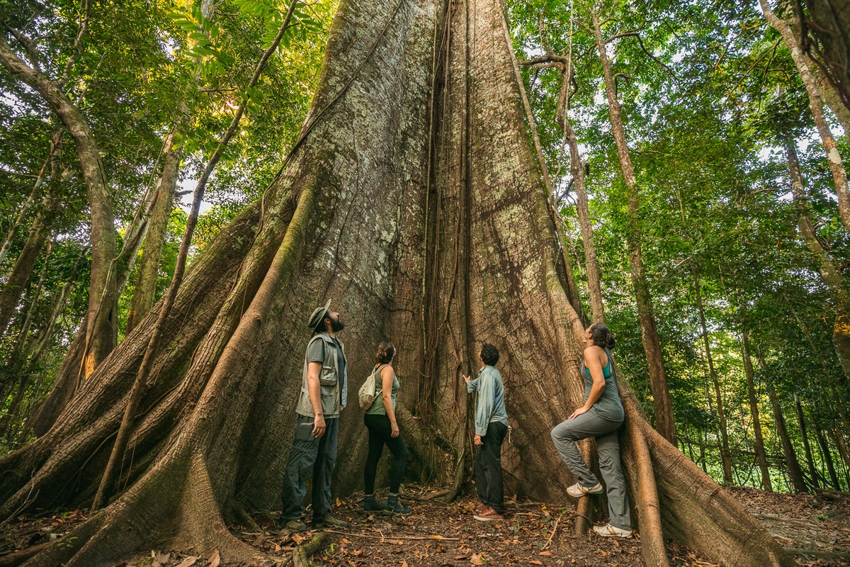 Ecotourism in the Amazon: A Powerful Alternative to Deforestation ...